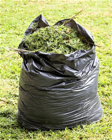 Decatur tweaks yard waste pickup process - WZBD